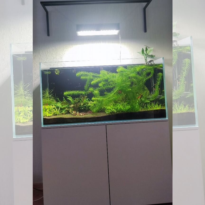 Кронштейн и светильник для аквариума