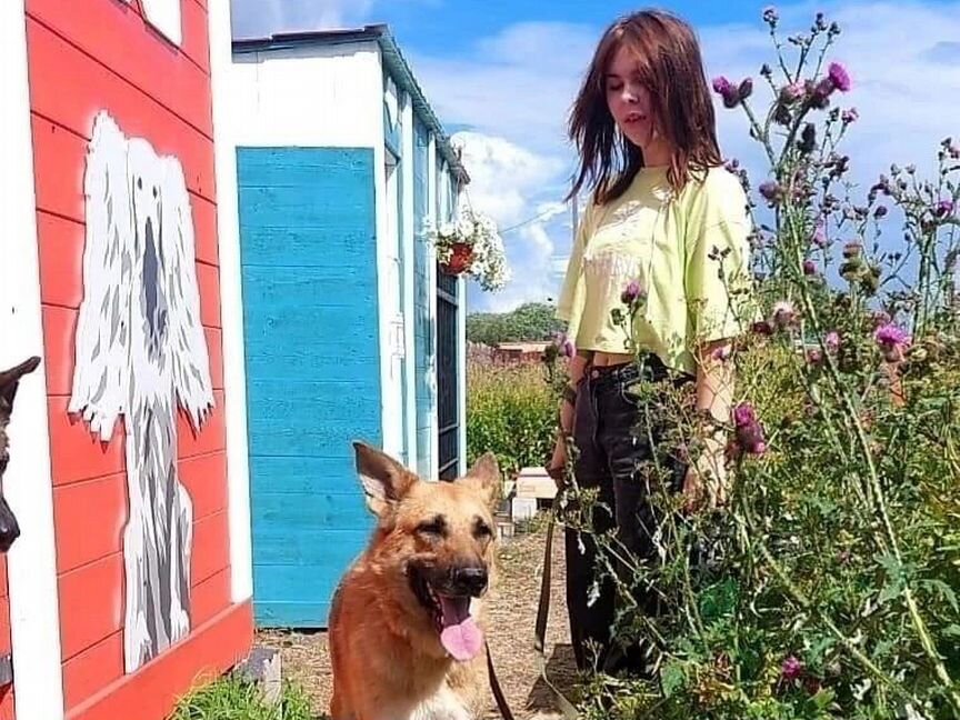 Кобель Леха в хорошую семью бесплатно