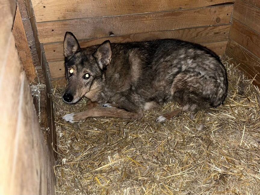Никто не приезжает к Маркусу