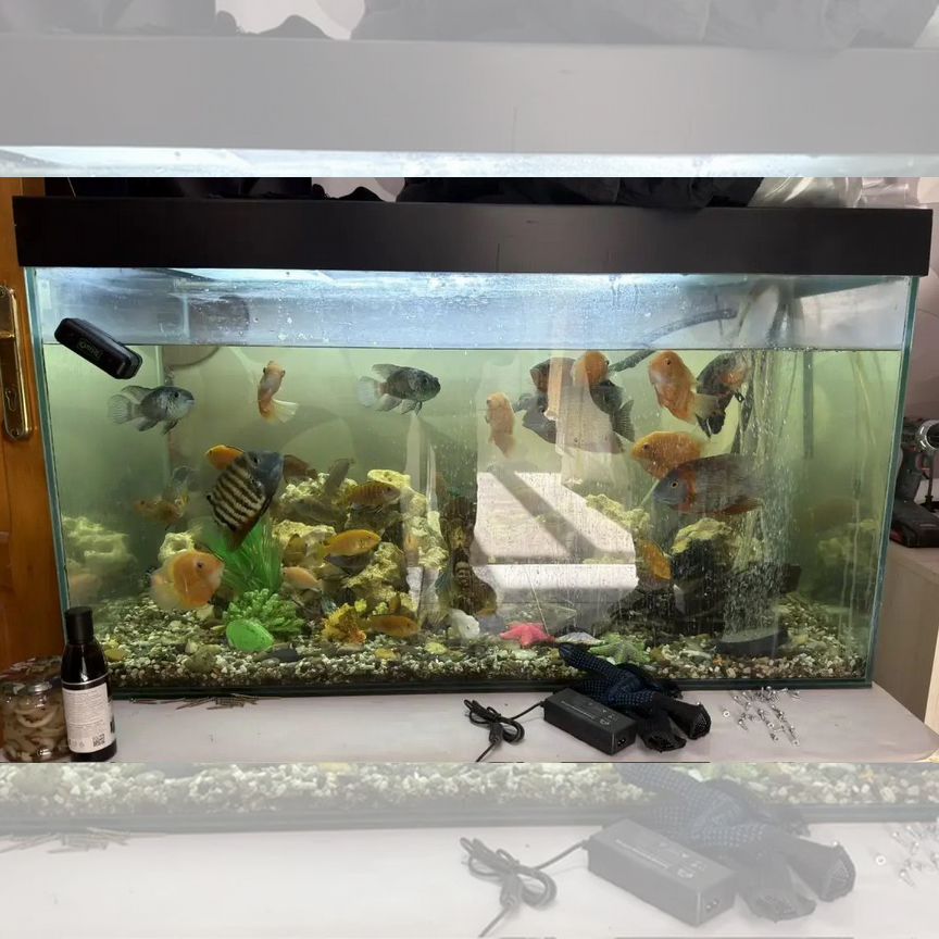 Продам аквариум со свем оборудаванием