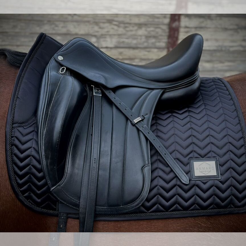 Вальтрап выездковый