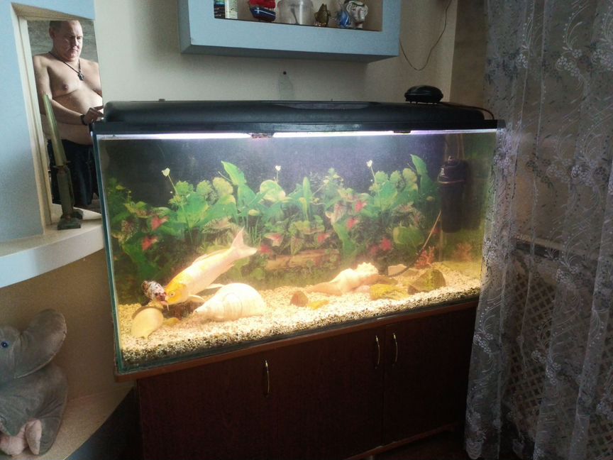 Аквариум с тумбой 300 литров