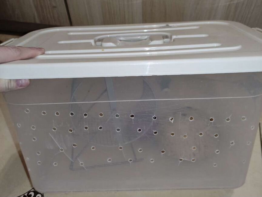 Ящик для грызуна