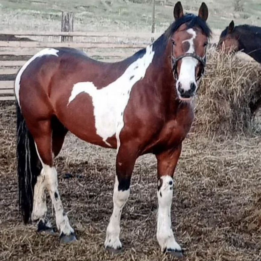 Сено и солома в мешках