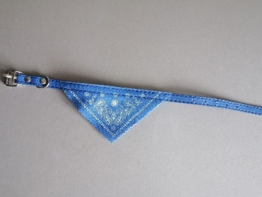 Ошейник с банданой