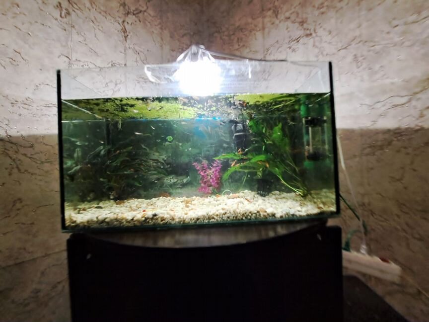 Аквариум