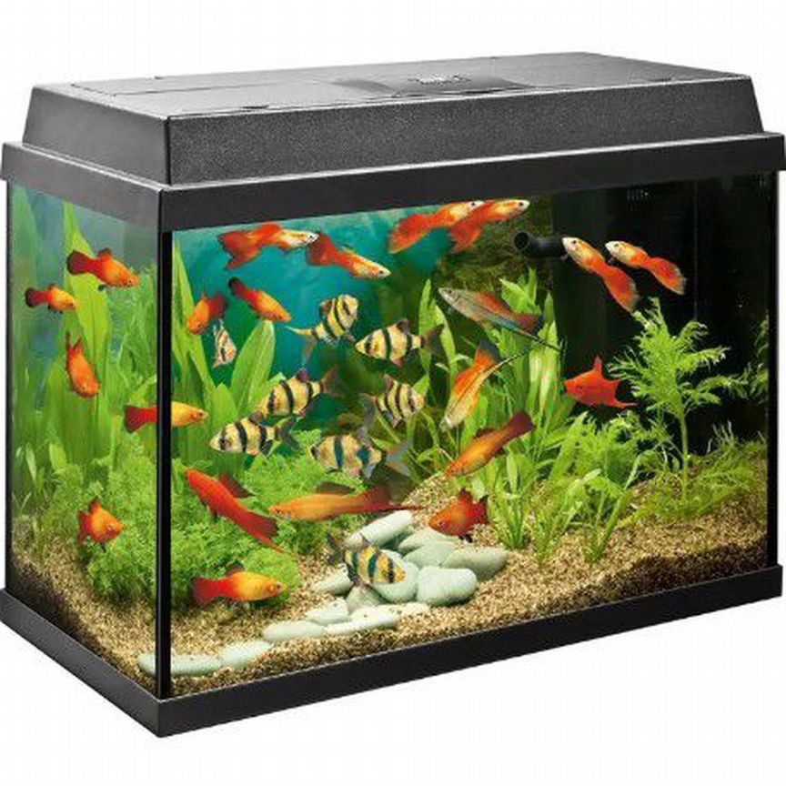 Аквариум возможно течёт Шлюзовой