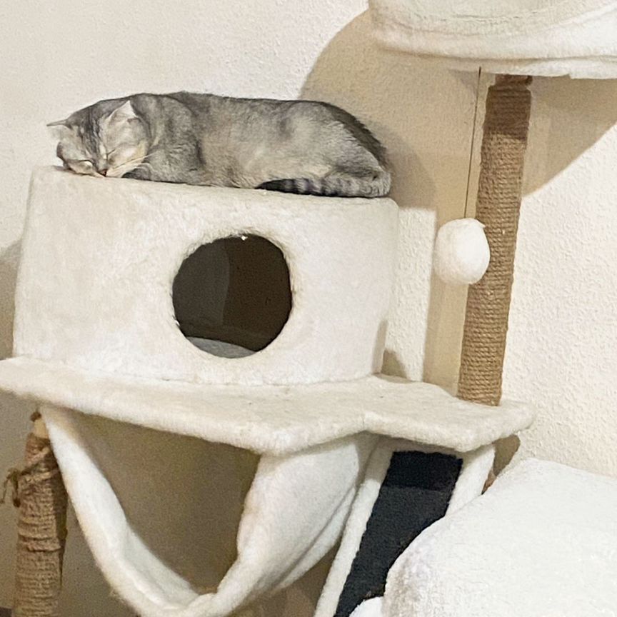 Когтеточка домик для кошки