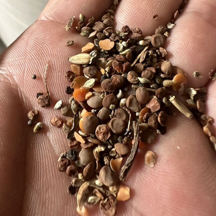 Отходы бобовых