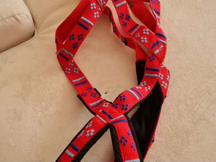 Упряжка для собак
