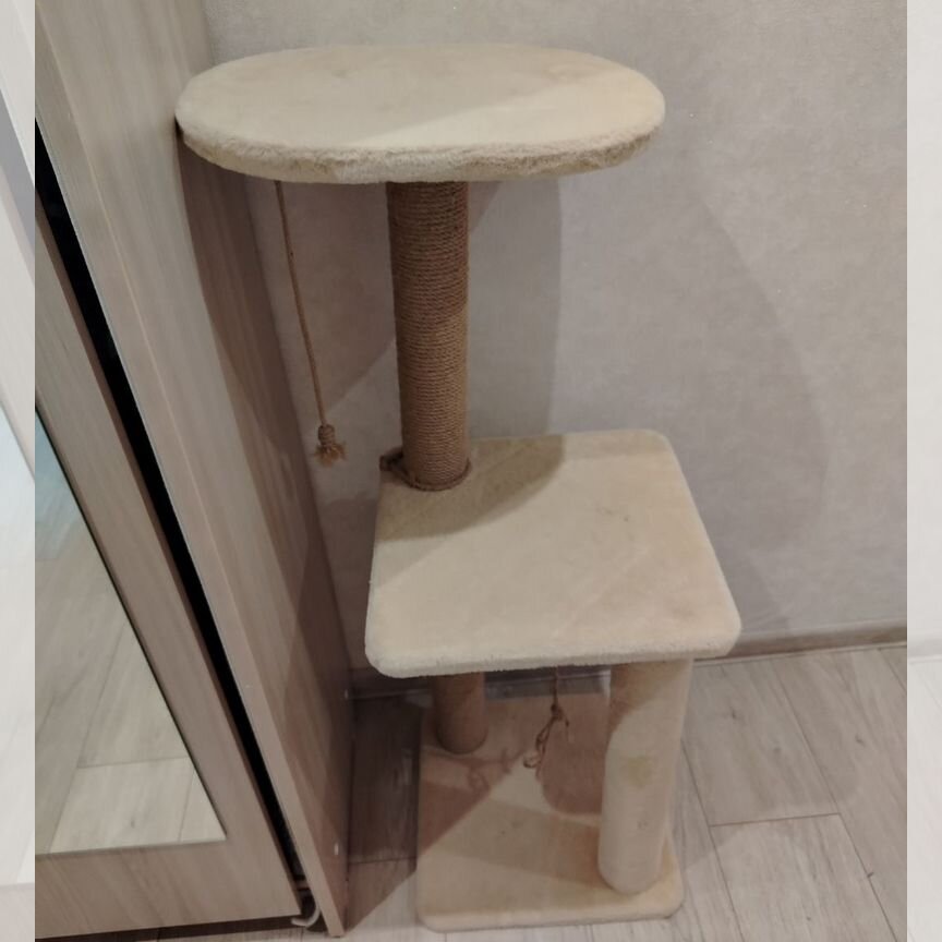 Когтеточка