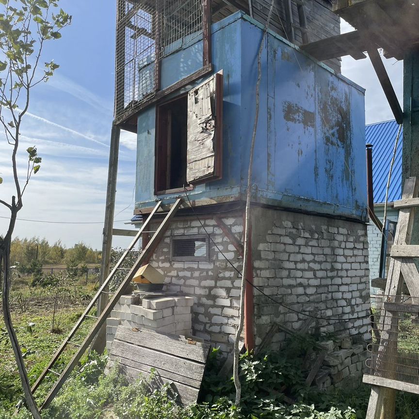 Голубятня продажа