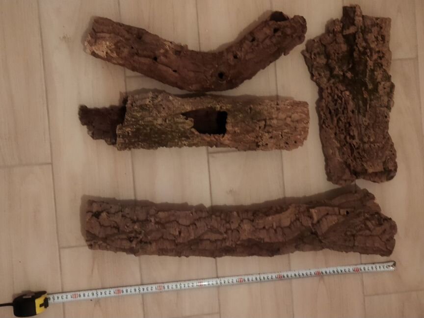 Коряга, кора, цилиндры пробкового дуба