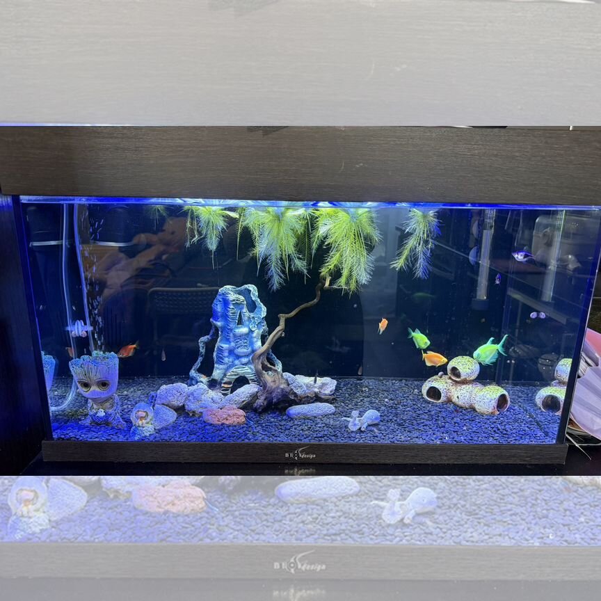 Аквариум 80л