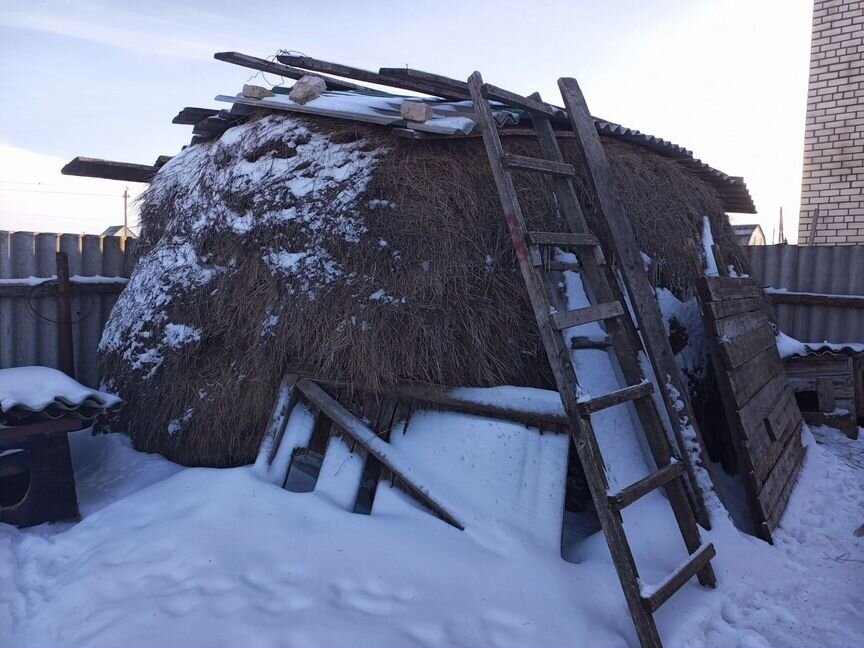 Сено россыпью