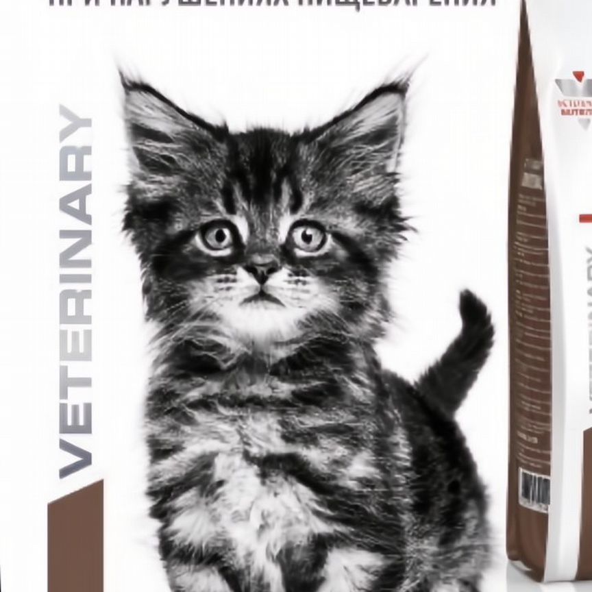Корм для котят royal canin