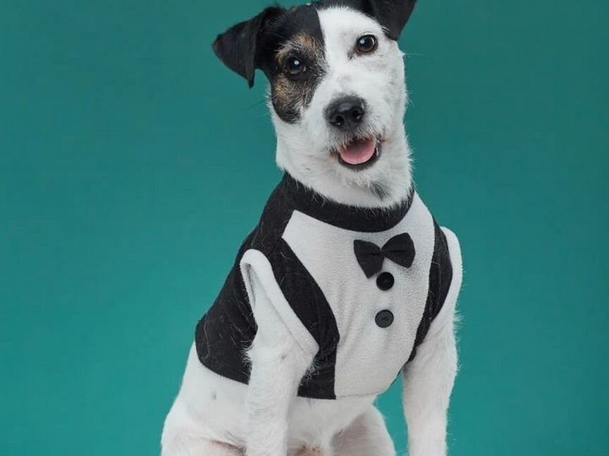 Ищем подружку