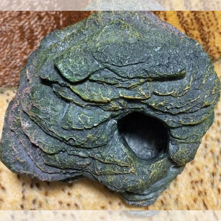 Влажная камера для рептилий