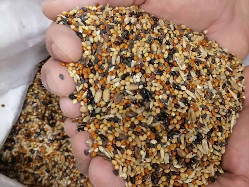 Корм для птиц Канарейки,Щегла. И.т д