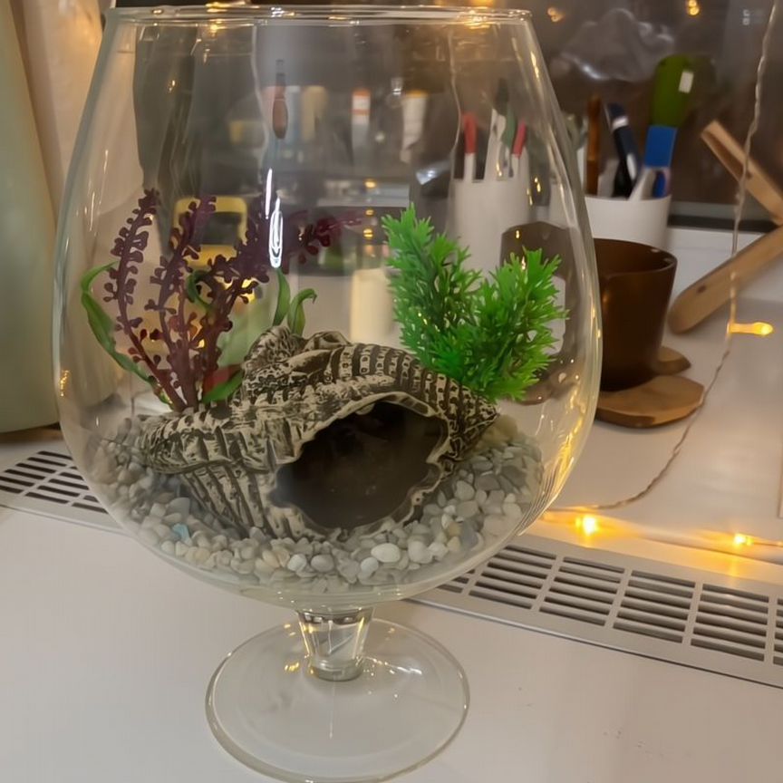 Аквариум с декором