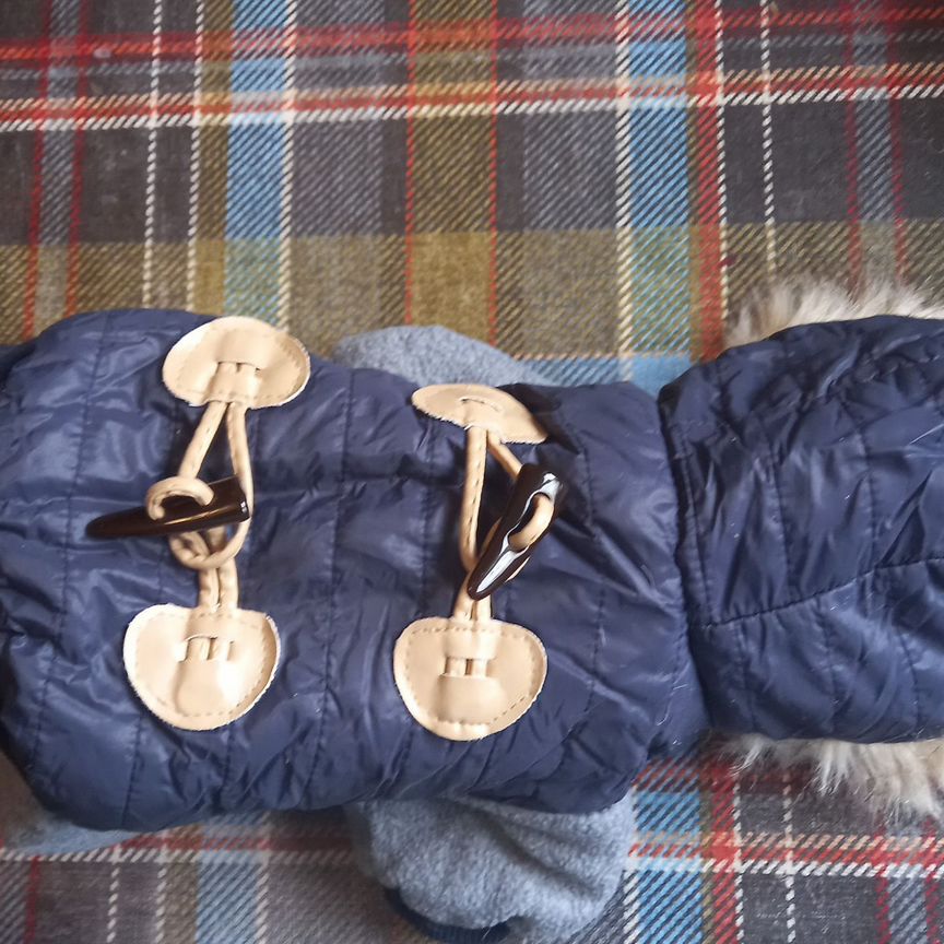 Одежда для маленьких собак M-s