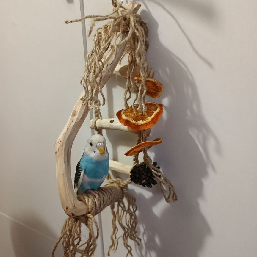 Игрушки сидушки для птиц