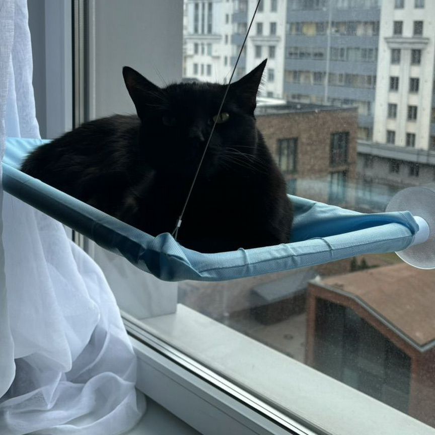 Лежанка для кошек гамак
