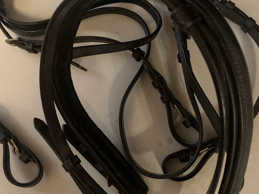 Оголовье трензельное