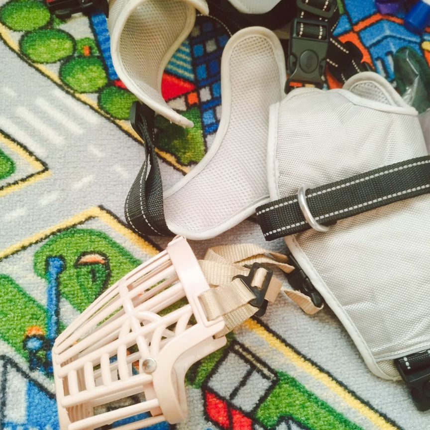 Намордник для собаки шлейка