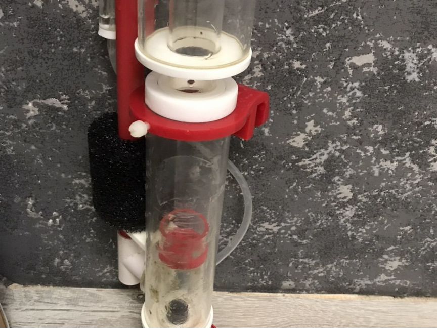 Пенник для морского аквариума