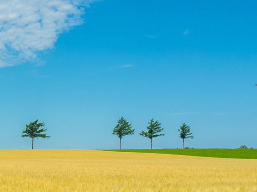 Травяная гранула