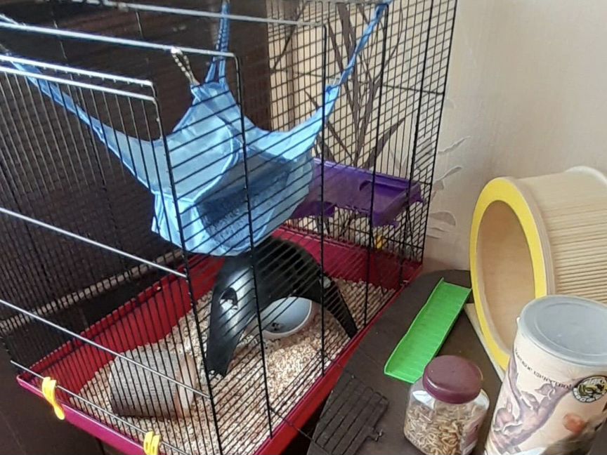 Клетка для грызунов