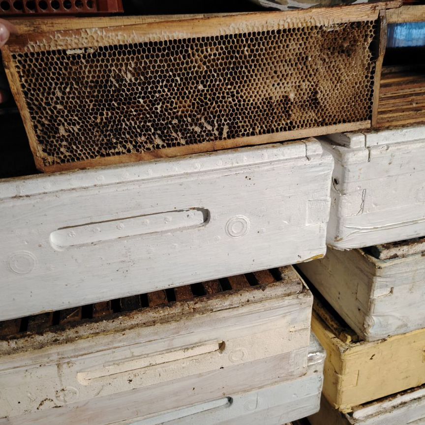 Рамка для ульев сушь (дадан)