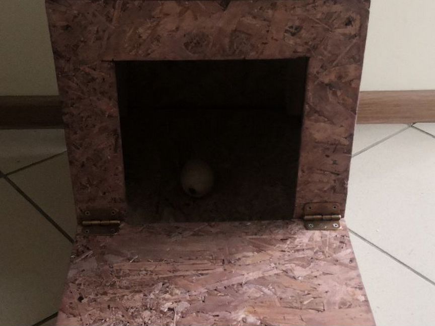 Гнездо для кур несушек