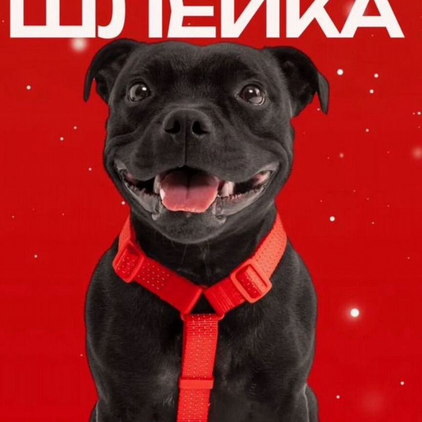 Анатомическая шлейка для собаки