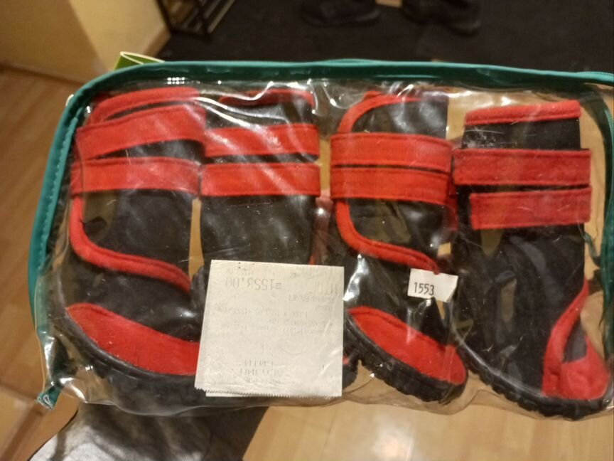 Ботинки для собак