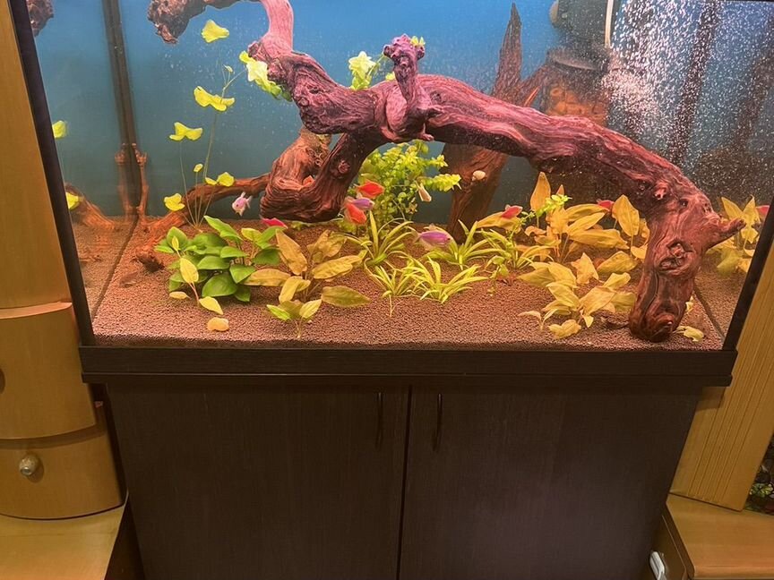 Аквариум Aqpplus pro 170