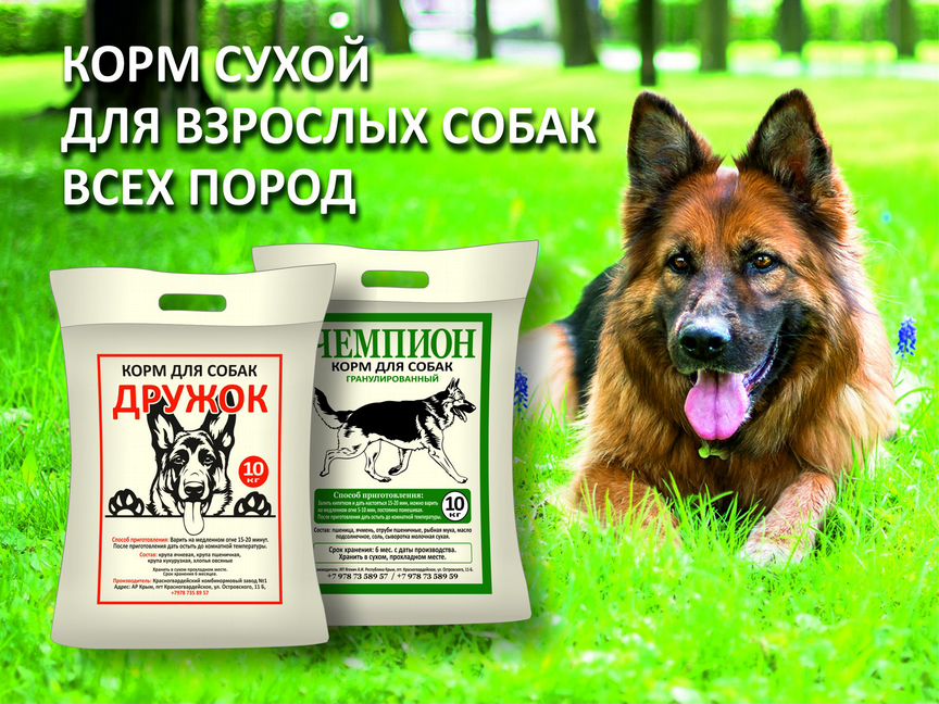 Корм для собак