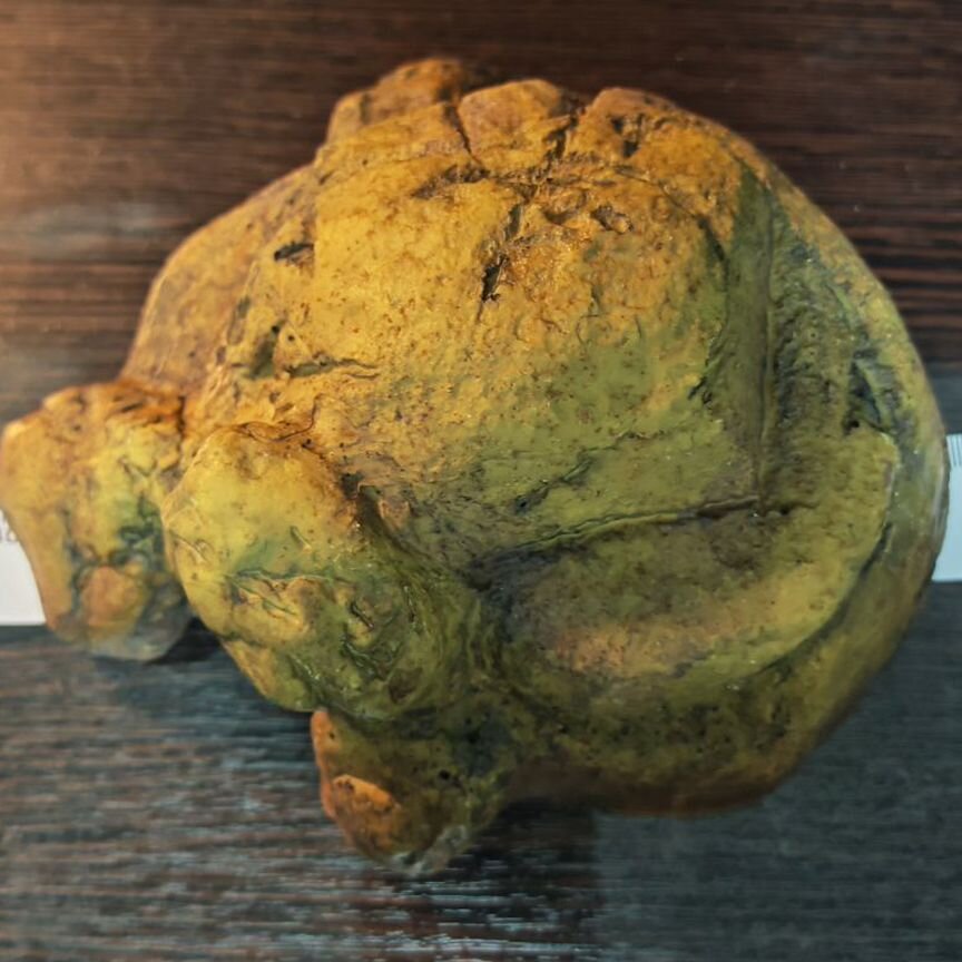 Укрытие декор для террариума, аквариума