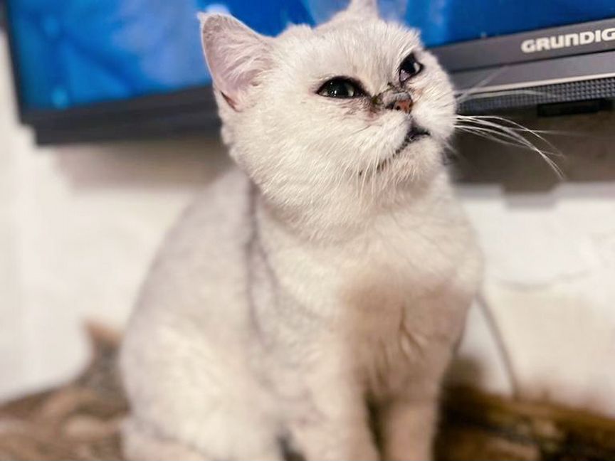 Экзотическая девочка была найдена на кладбище