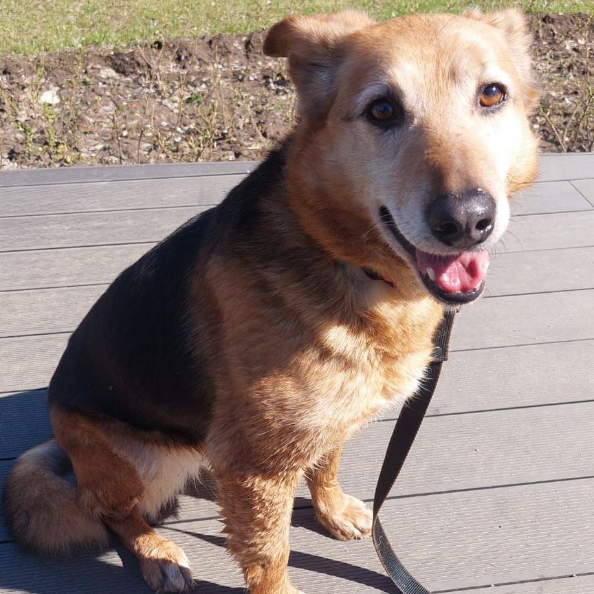 Берте нужна семья