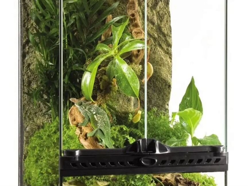 Террариум для рептилий