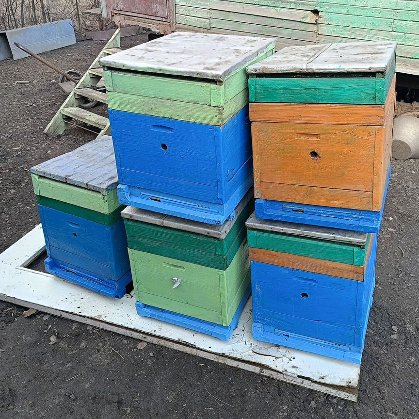 Продажа Б/У ульев дадан