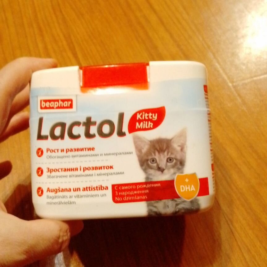 Сухое молоко для котят
