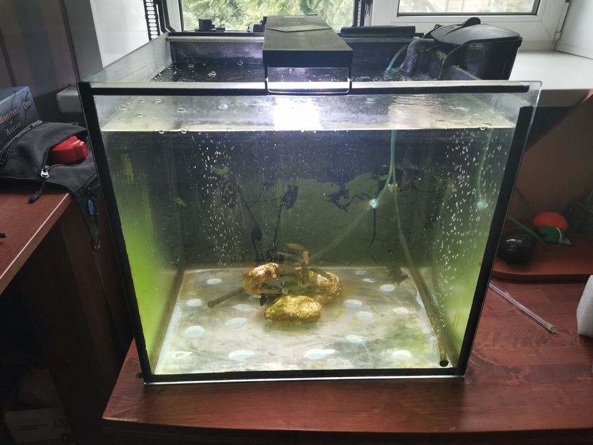 Аквариум 100 л