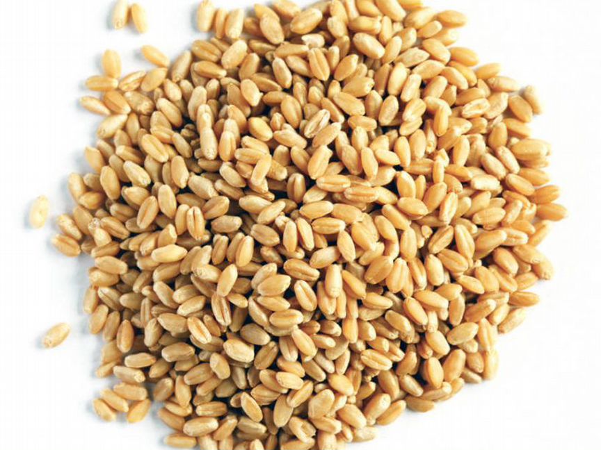 Пшеница зерно, 35 кг