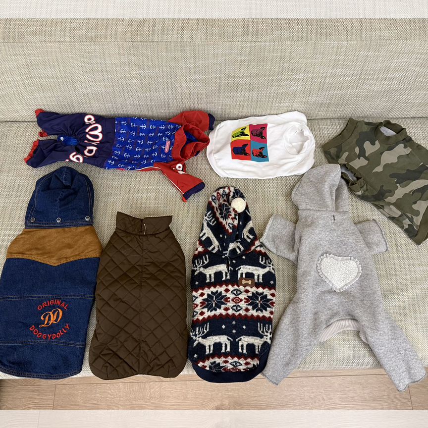 Одежда для маленьких пород собак