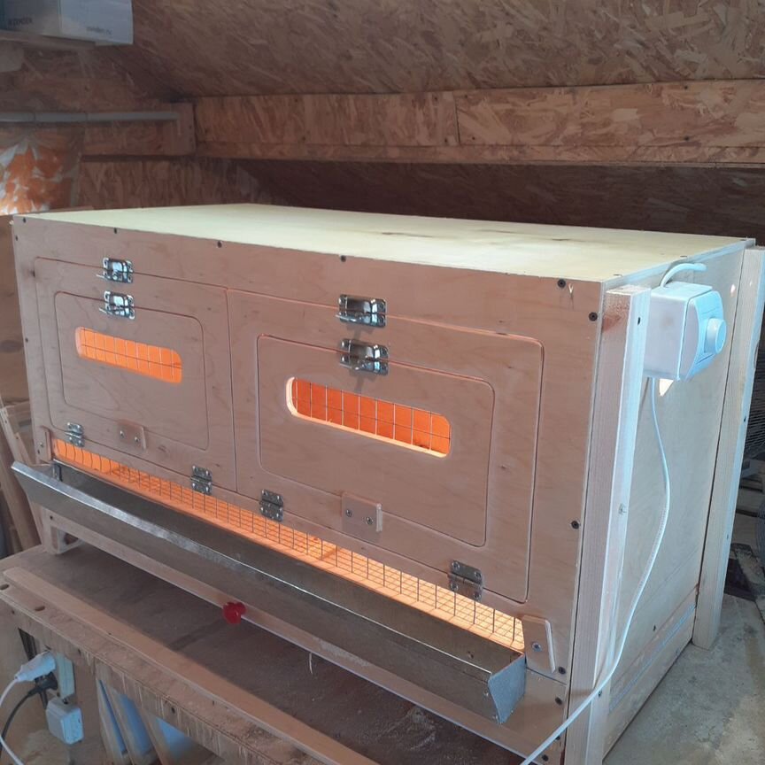 Брудер для цыплят