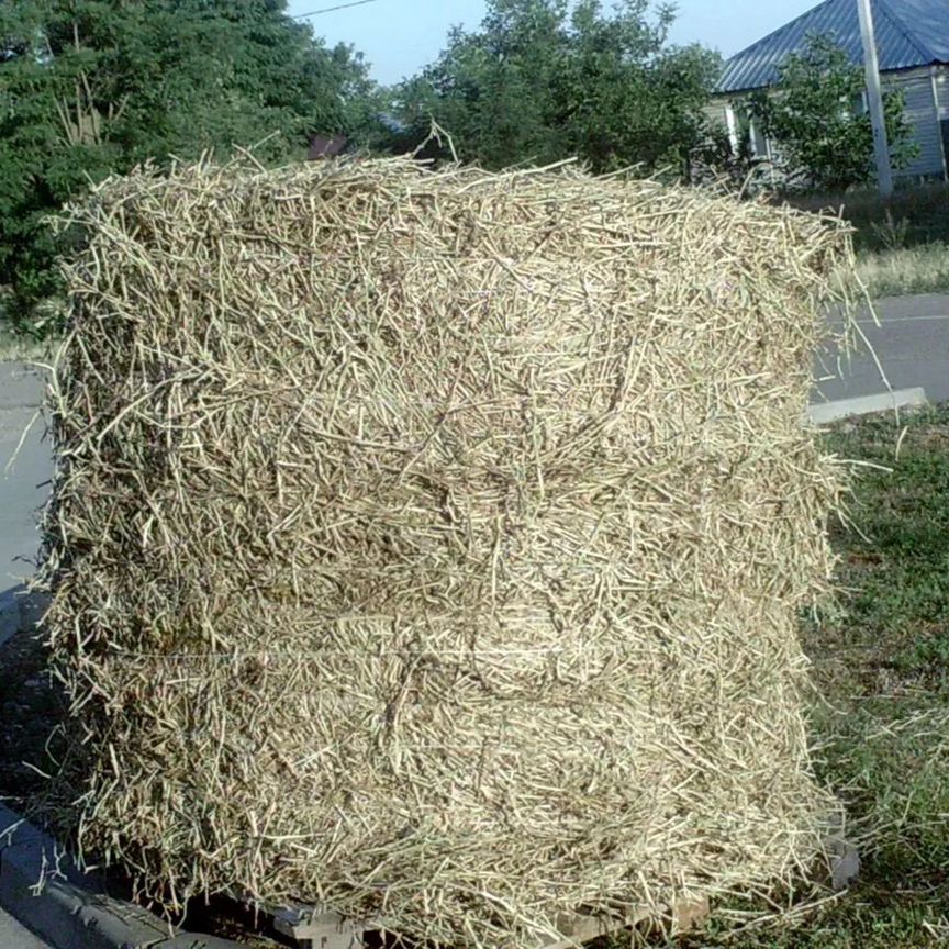 Солома гороховое