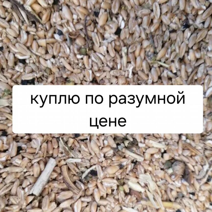 Зерноотходы